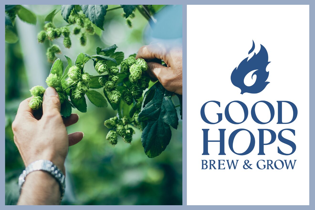 新醸造所「GOOD HOPS」が2025年春に開業予定｜ニュース｜TONO Japan Hop Country